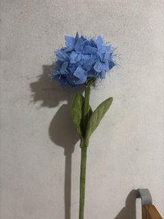 Cj hendry hydrangea For Sale | Artificial Plants & Flowers | Carousell ...