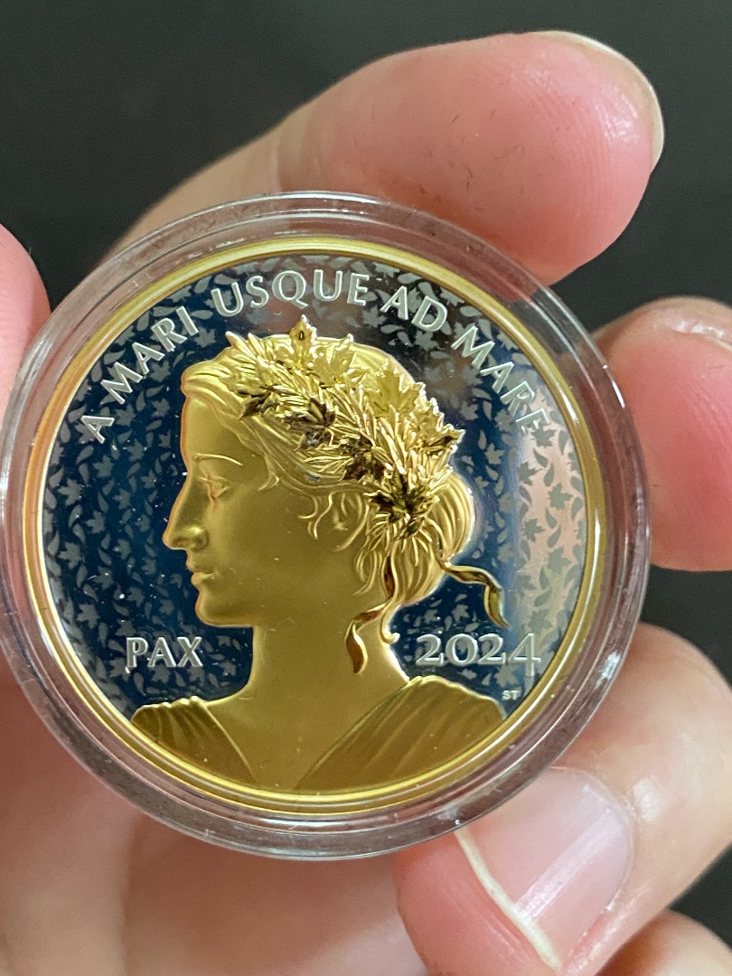 2024 Canadian Peace Dollar 1oz Silver Gold Plated Coin, Hobbies & Toys ...