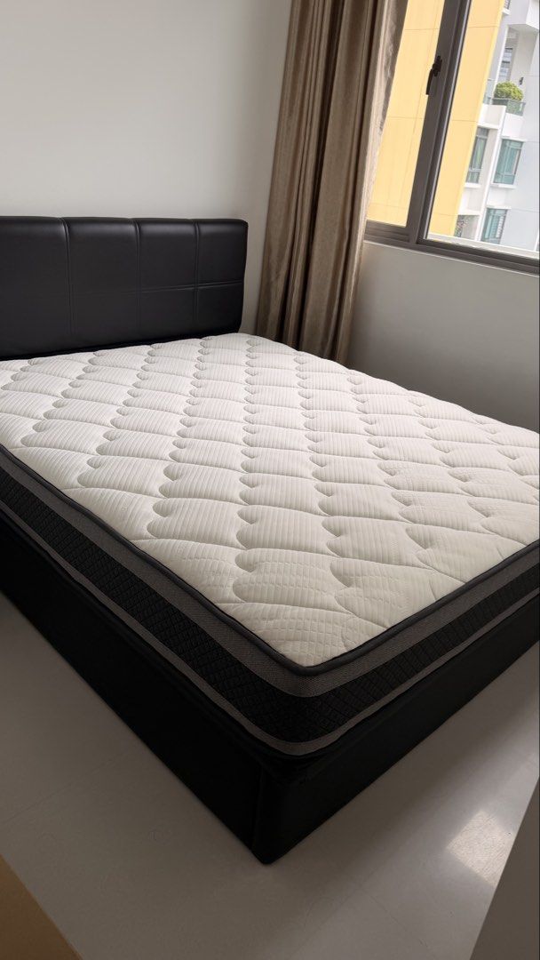 Dplatex Spinal Plush Pocketed Spring Mattress, Furniture & Home Living ...