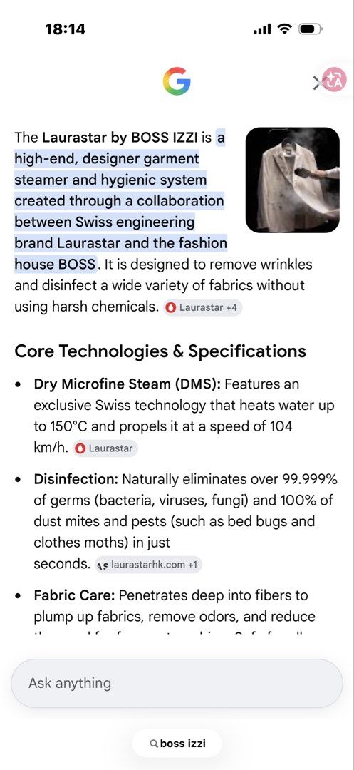 LAURASTAR x BOSS IZZI Steaming System Black, 家庭電器, 熨斗及掛熨機 - Carousell