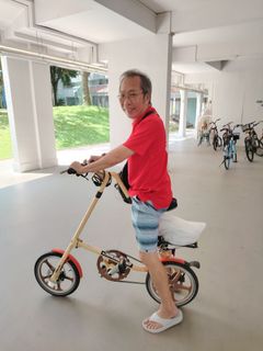Bicycle For Sale | Buy 10,000+ Bicycle online | Carousell Singapore