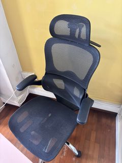 Ergonomic Mesh Office Chair with Lumbar Support and Footrest, Furniture ...