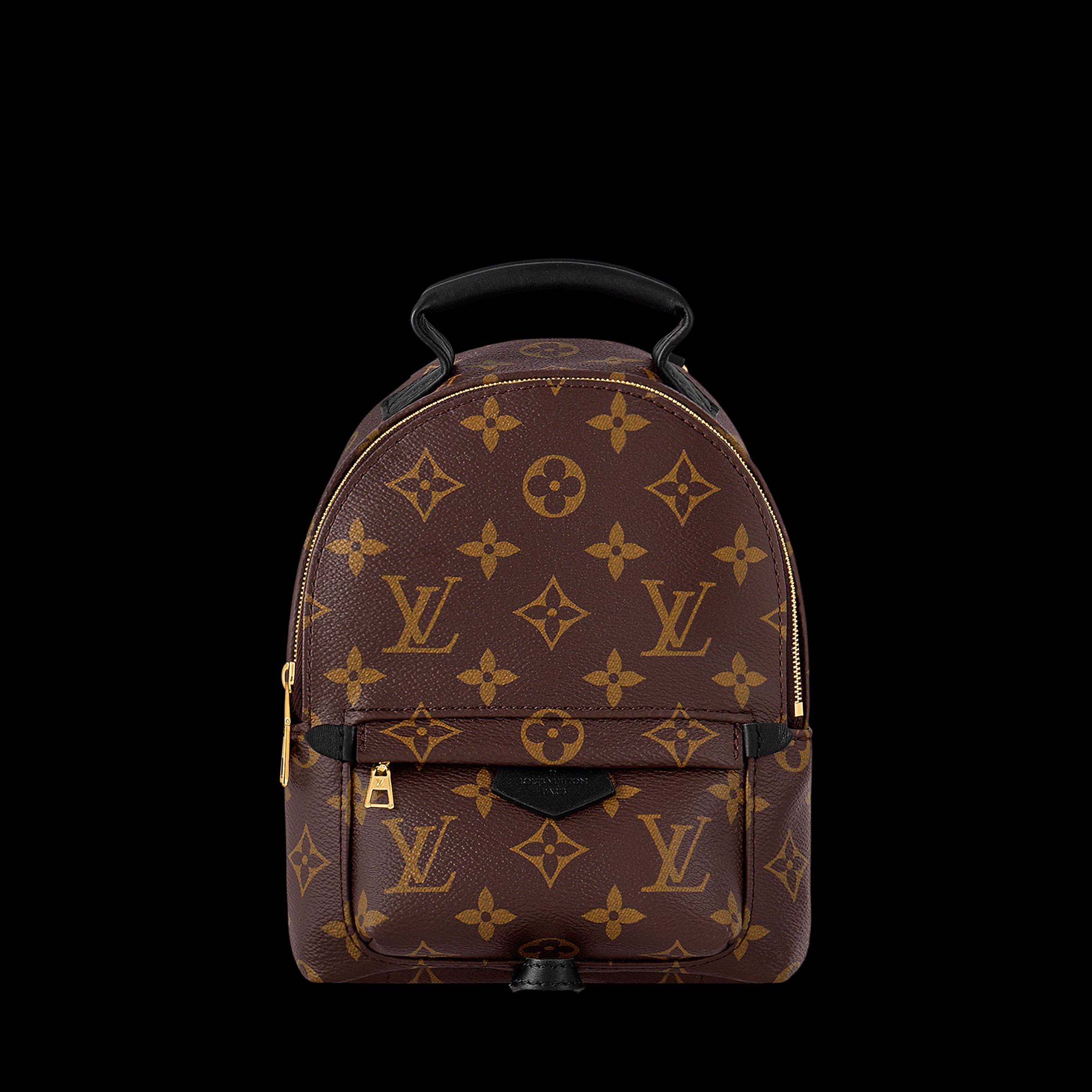 Louis Vuitton Monogram Palm Springs Mini Backpack, Luxury, Bags ...