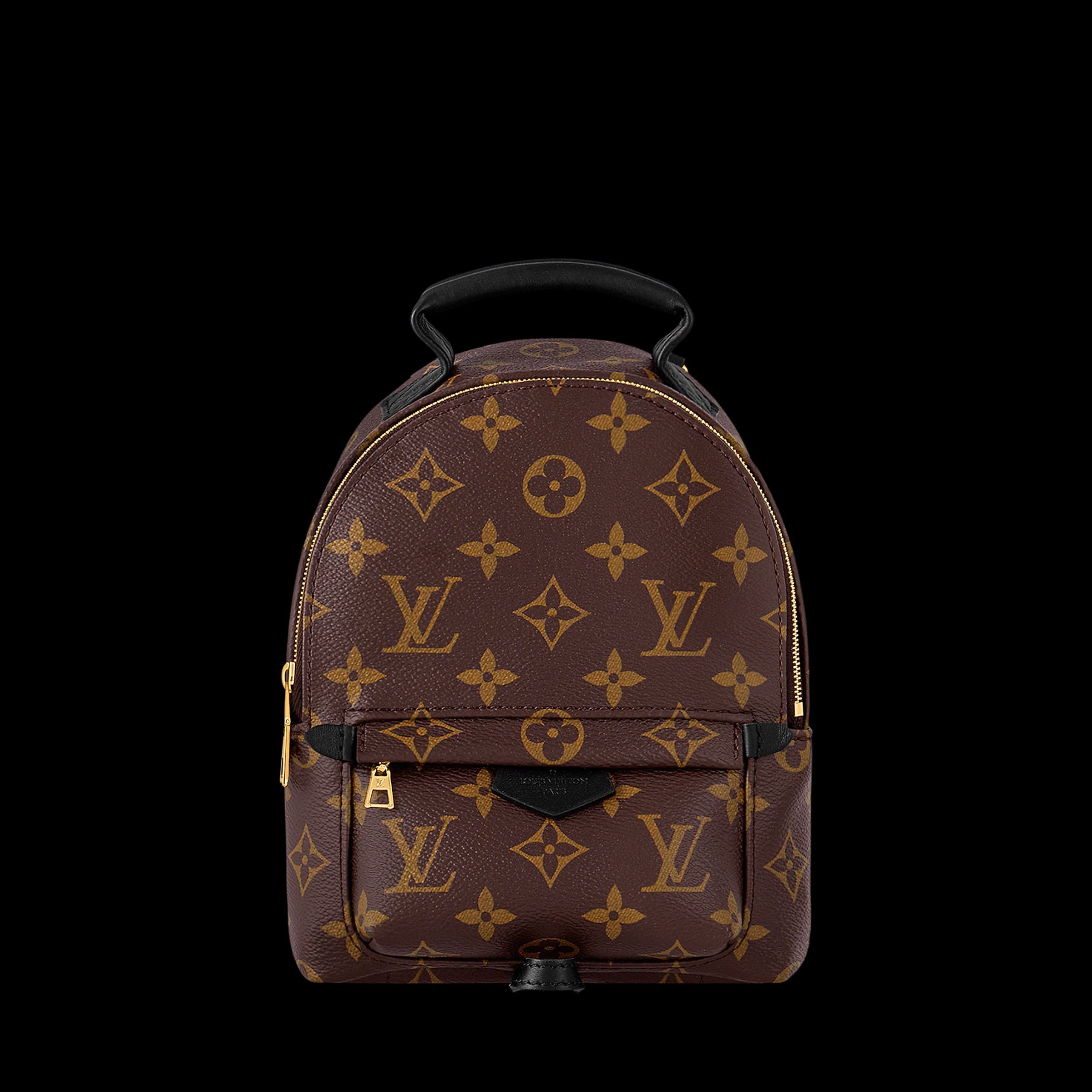 Louis Vuitton Monogram Palm Springs Mini Backpack, Luxury, Bags ...