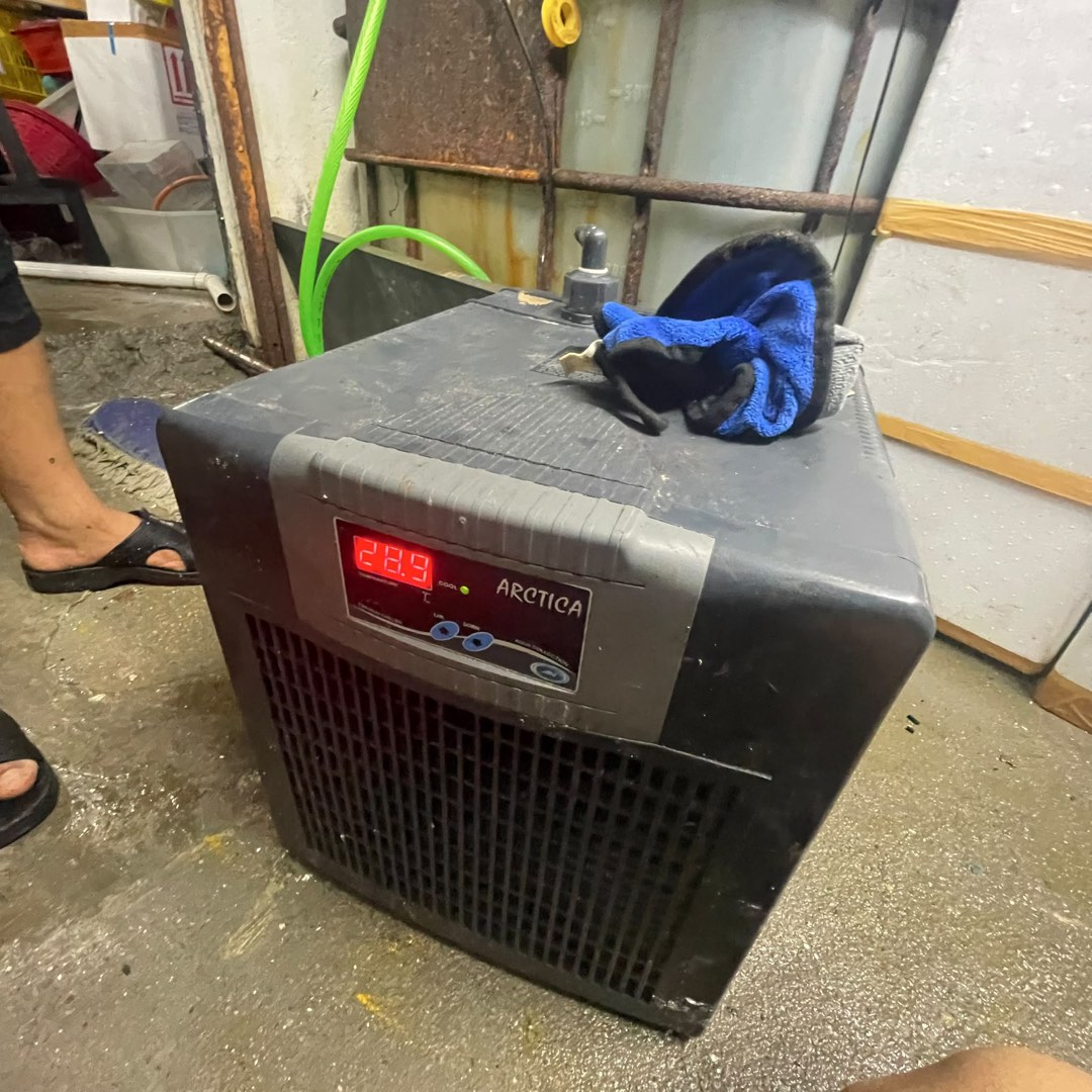 Arctica Aquarium Chiller, Computers & Tech, Parts & Accessories ...