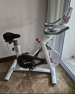 YESOUL Spin Bike, Sports Equipment, Exercise & Fitness, Cardio ...