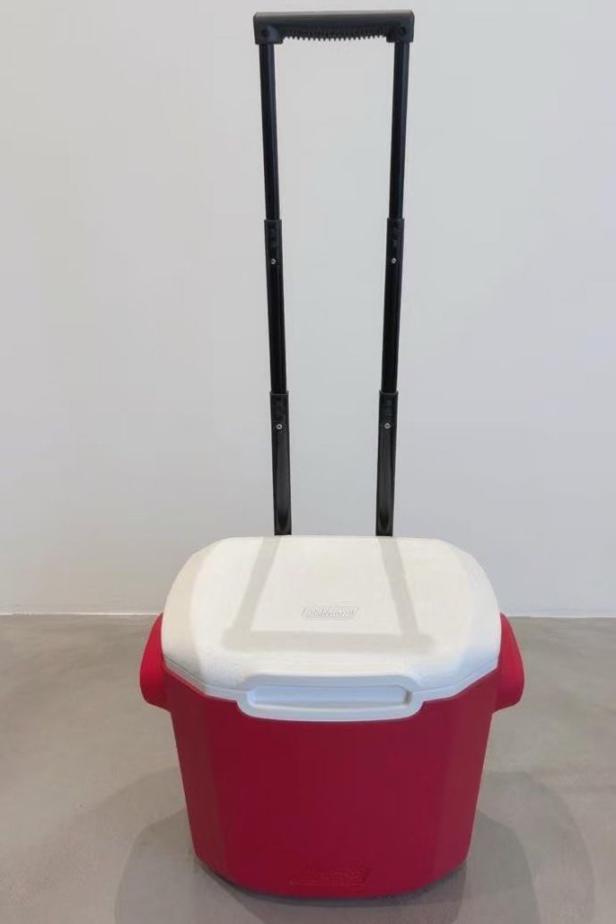 Coleman Cooler Box, Sports Equipment, Hiking & Camping on Carousell
