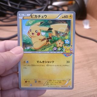 Pikachu EX Pokemon Card - Japanese, Hobbies & Toys, Toys & Games on ...