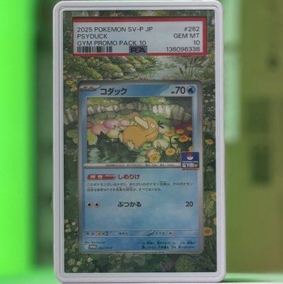 2025 Pokemon Psyduck Gym Promo Pack 10 PSA 10, Hobbies & Toys, Toys ...
