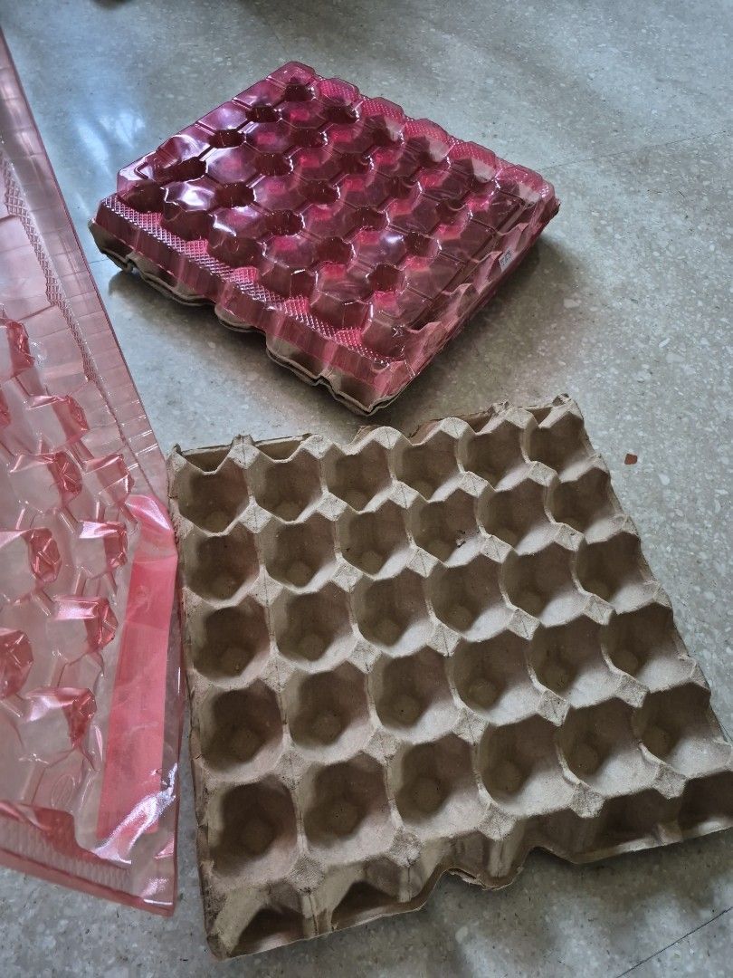 2 x Egg Cartons craft art, Hobbies & Toys, Stationery & Craft, Craft ...