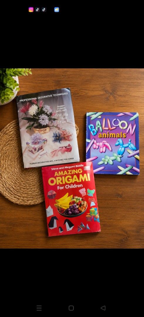 3 Craft Books: Origami, Balloon Animals, Floral Decor step by step ...
