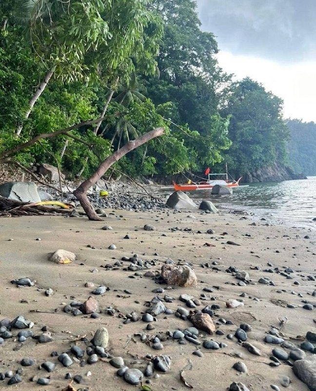 COCONUT FARM DAVAO OCCIDENTAL, Property, For Sale, Lot on Carousell