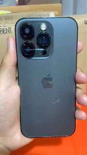 iPhone 14 Series