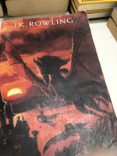 Harry Potter and the Philosopher's Stone by J.K. Rowling, Hobbies ...