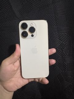 iPhone 14 Series
