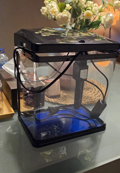 Mini Aquarium Set 9 Litre, Pet Supplies, Homes & Other Pet Accessories ...
