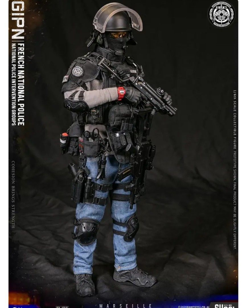 1/6 Damtoys GIPN, Hobbies & Toys, Toys & Games on Carousell