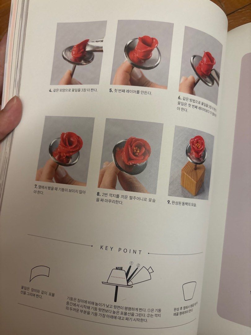 Buttercream Flower Cake Decorating Book - ollicake, Hobbies & Toys ...