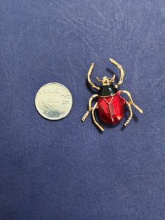 Brooch Pin Bug Insect Beetle, Women's Fashion, Jewelry & Organizers ...