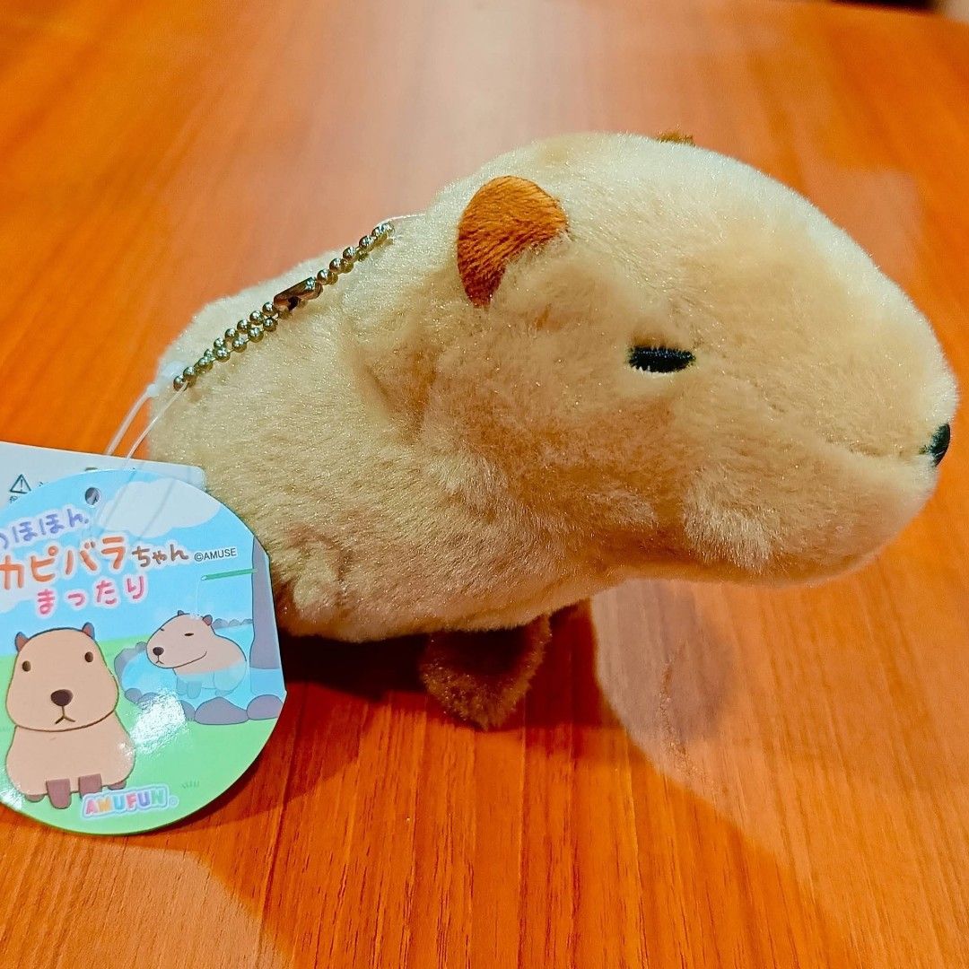 Cute Assorted Plush Toys - Capybara, Dog, Frog, Apple Cat Meme Crying ...