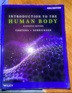 How My Body Works - Orbis Science Book Set - Human Body, Hobbies & Toys ...