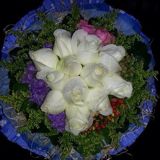 Kronenbourg 1664 mahjong set, Everything Else on Carousell