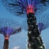 inuj's items for sale on Carousell