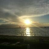 panda_cv's items for sale on Carousell