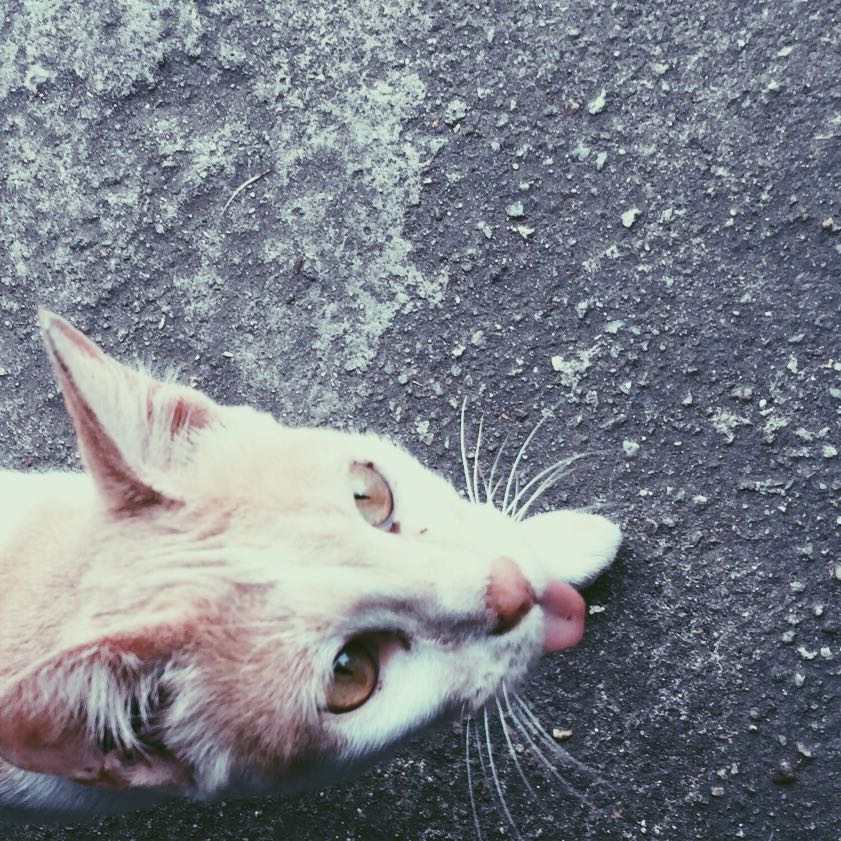 _reyo_'s items for sale on Carousell