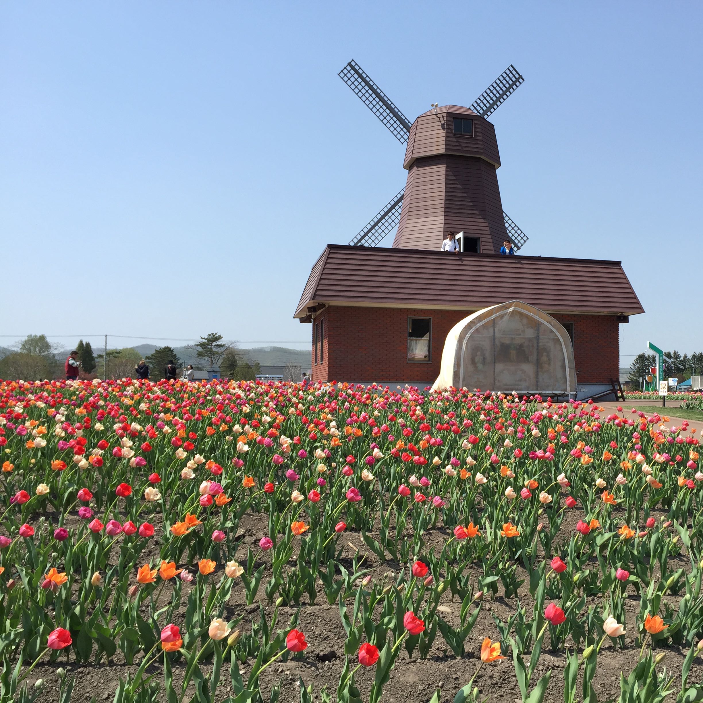 pangzai's items for sale on Carousell