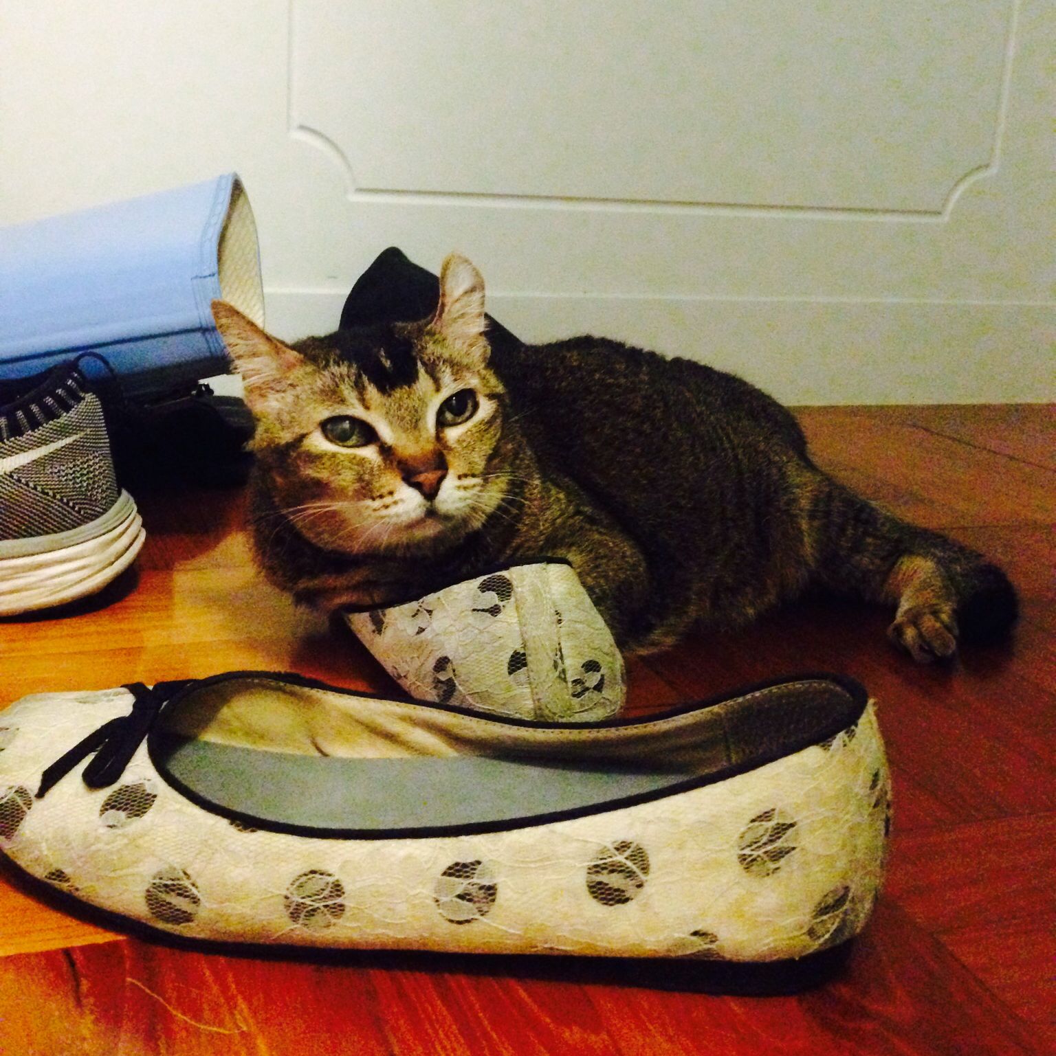 Crystal Chung 喺Carousell出售嘅商品