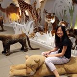 Yining Yan's items for sale on Carousell