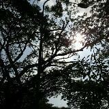 Sherwin Chua's items for sale on Carousell