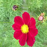 Phin filter For Sale | Beverages | Carousell Singapore