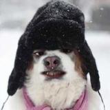 sbryg's items for sale on Carousell