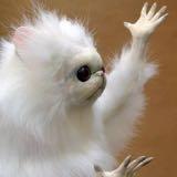 Jonathan Yu’s Profile Page on Carousell | All of Jonathan Yu’s Items ...