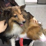 Kit Wu 喺Carousell出售嘅商品