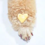 Helen Tse 喺Carousell出售嘅商品