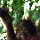 Buzzor OH 喺Carousell出售嘅商品