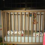 baby fruit feeder specifier, Babies & Kids, Nursing & Feeding, Weaning ...