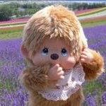 Carol LO 喺Carousell出售嘅商品