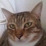 Edmond Hui 喺Carousell出售嘅商品