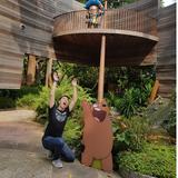 Bernard Chin's items for sale on Carousell