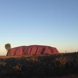 Natalie Seah's items for sale on Carousell