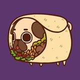 pugrrito's items for sale on Carousell