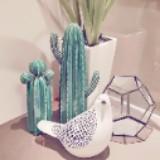 joywza33681’s Profile Page on Carousell | All of joywza33681’s Items ...