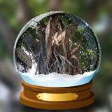 Franky Wan 喺Carousell出售嘅商品