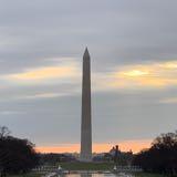 Nathaniel Bier's items for sale on Carousell