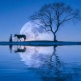 jeffart's items for sale on Carousell