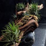 Michael Pua's items for sale on Carousell